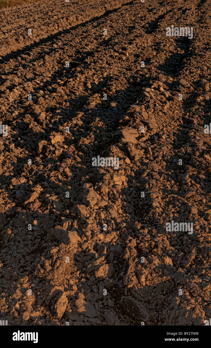 Rich dark soil dirt for farming in Poland farm country in Eastern ...