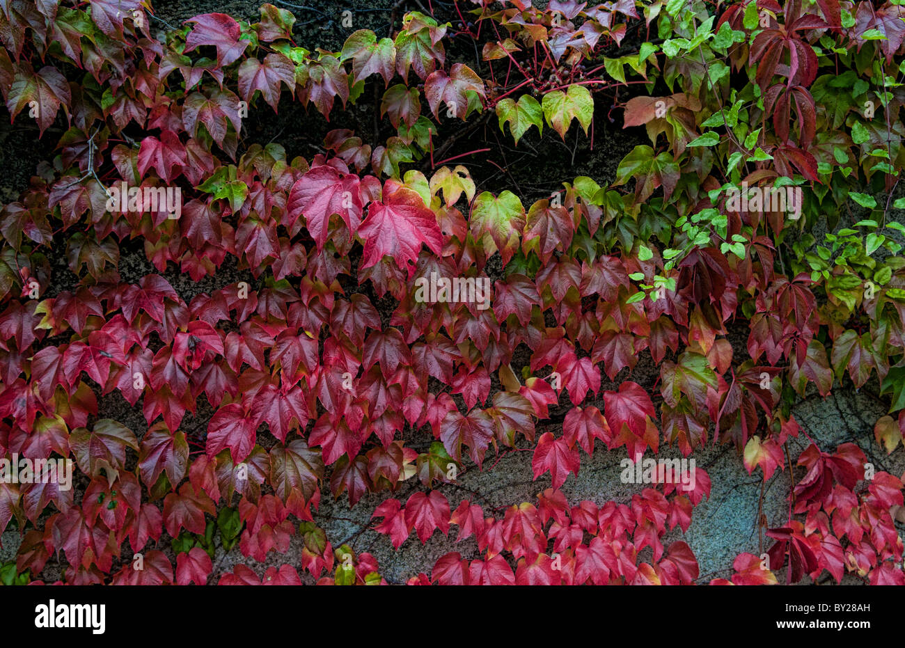 River Rhine Country High Resolution Stock Photography and Images - Alamy