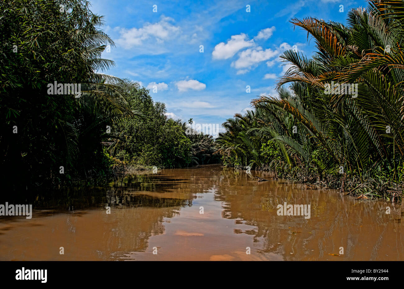 Mekong Delta water river swamps of green muddy water from boating below ...