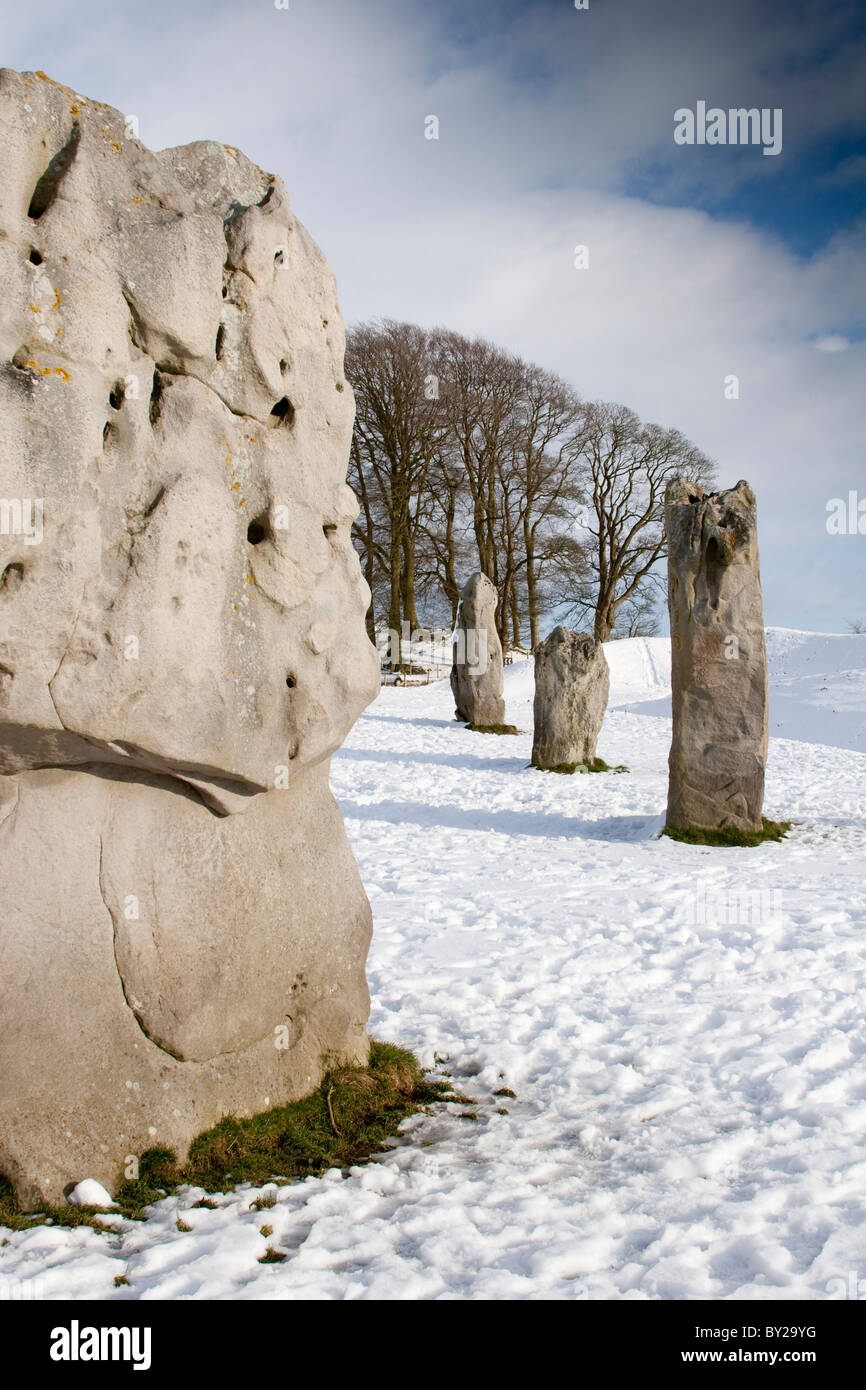 Avebury trees hi-res stock photography and images - Alamy