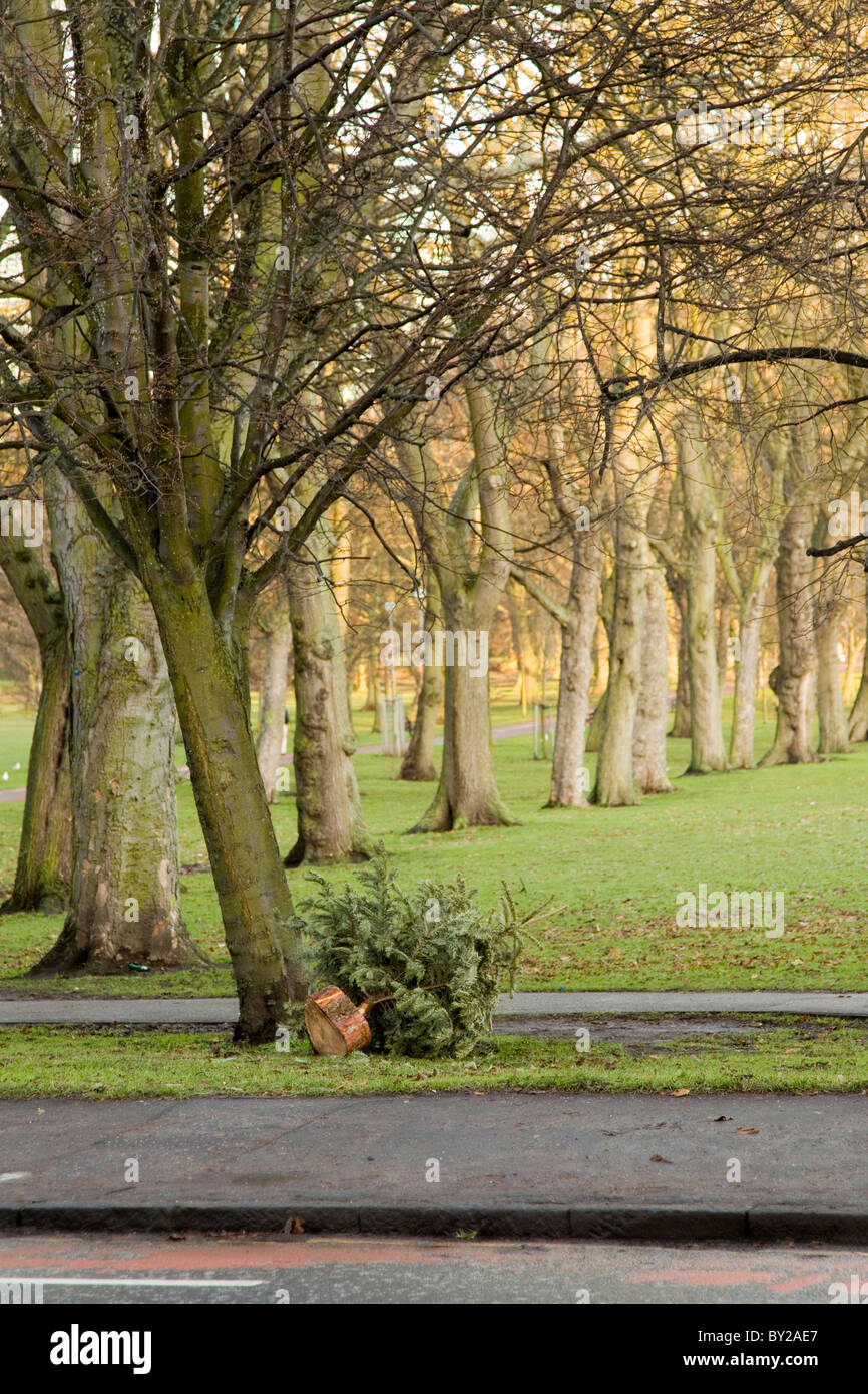 Complete with trees hi-res stock photography and images - Alamy