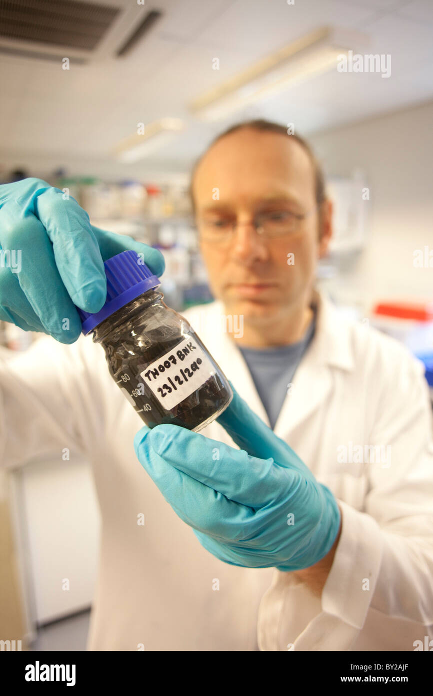 Periodic testing hi-res stock photography and images - Alamy