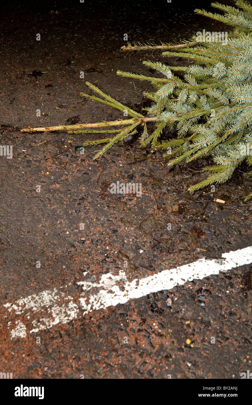 End of the festive season. Dumped Christmas trees waiting for the ...