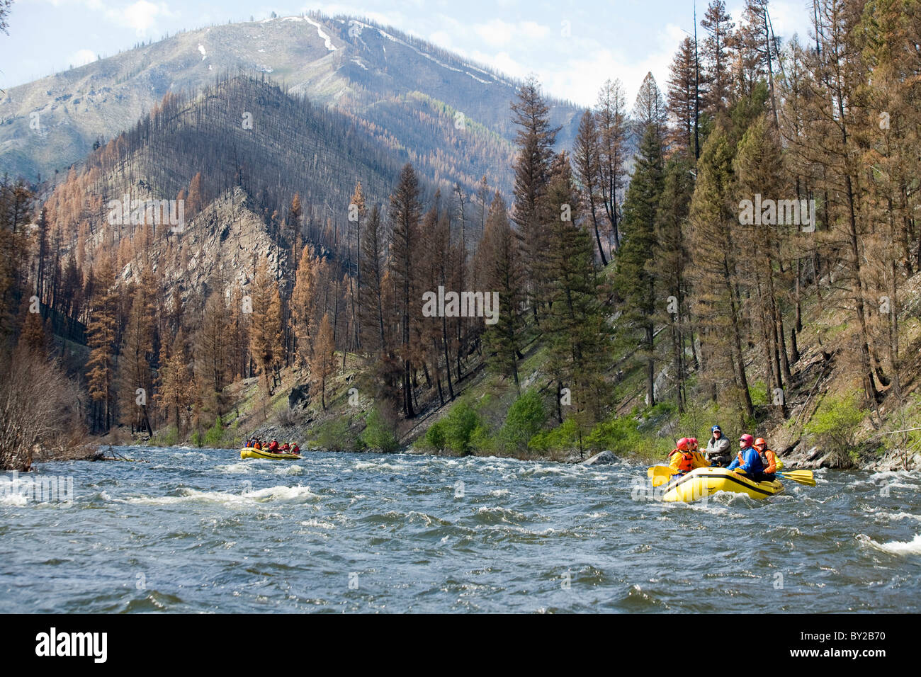 Rafting the Middle Fork of the Salmon River, ID Stock Photo - Alamy