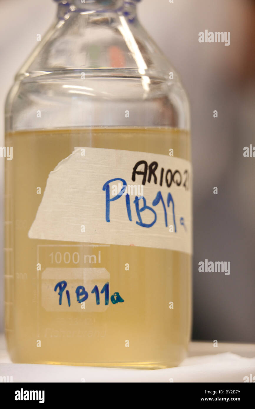 water samples from industrial waste water being sampled in a laboratory ...