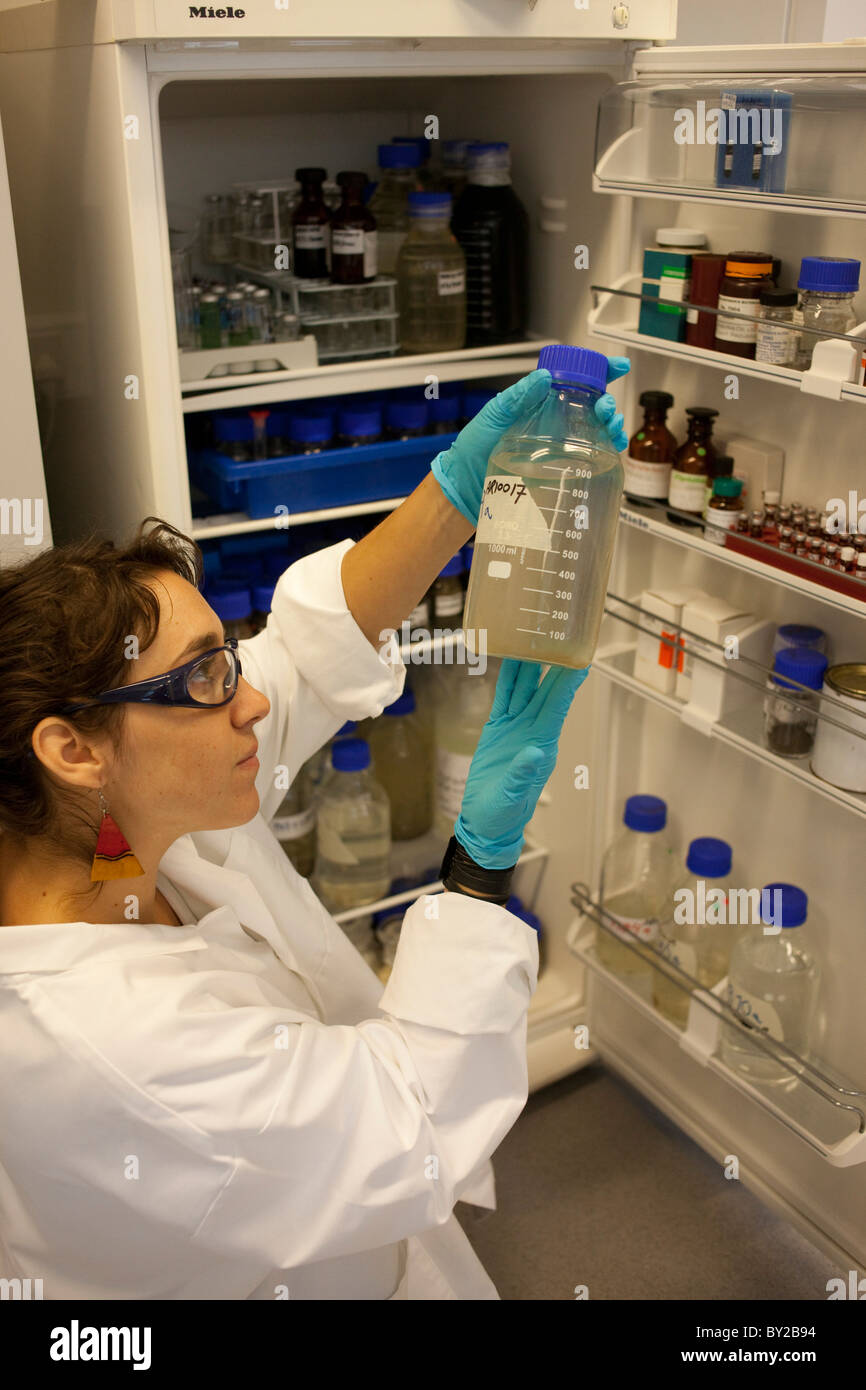 water samples from industrial waste water being sampled in a laboratory ...