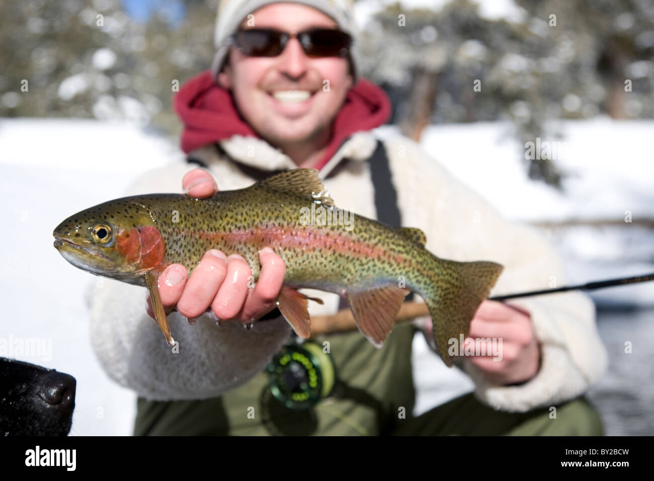 Man fishing madison river hi-res stock photography and images - Alamy