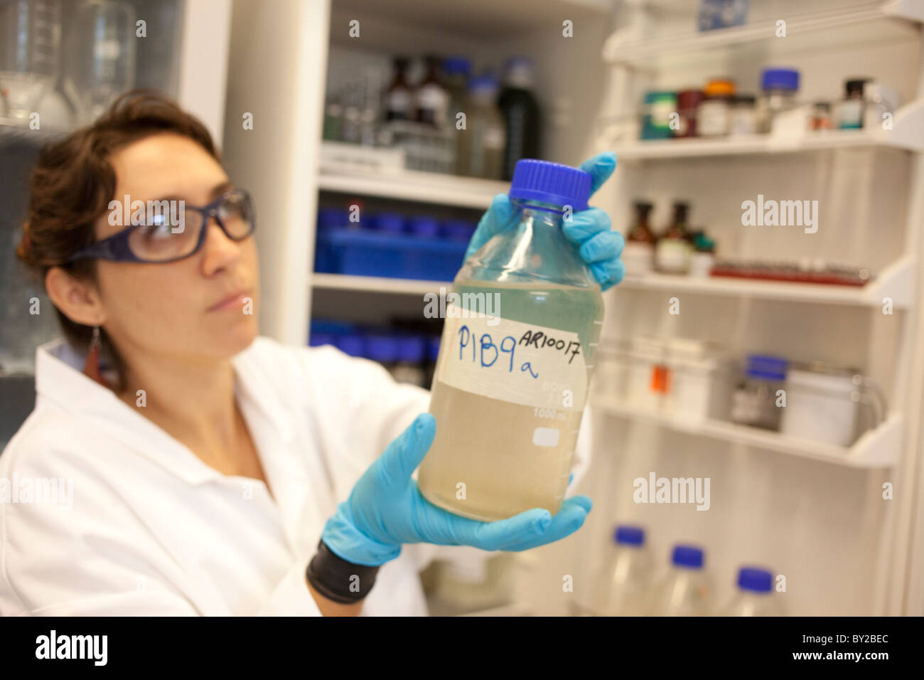 water samples from industrial waste water being sampled in a laboratory ...