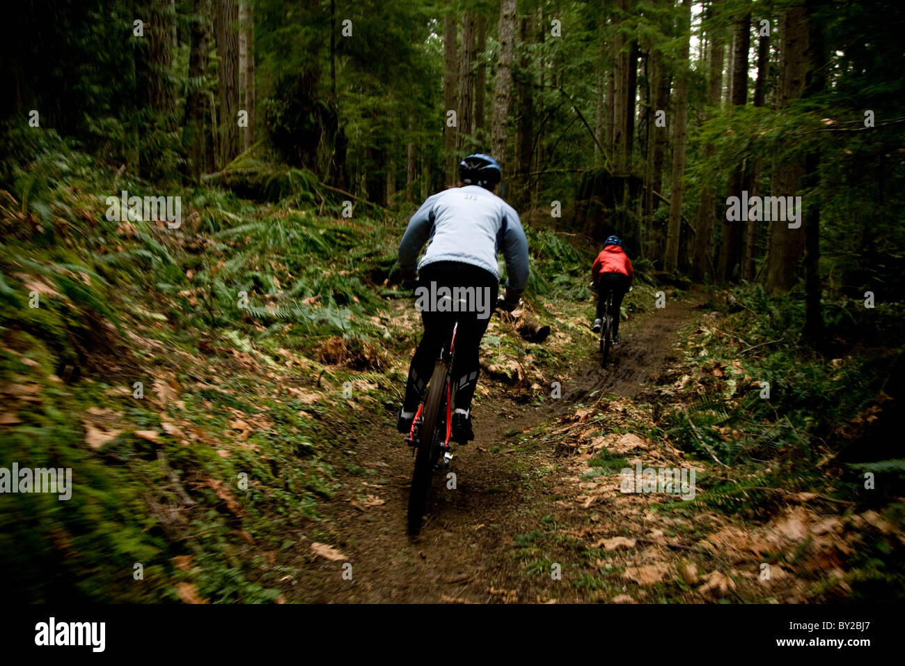 Single action single action action action single image hi-res stock ...