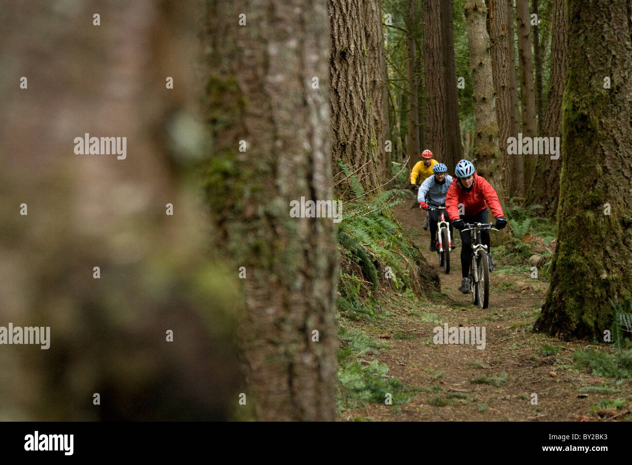 Trunk port image hi-res stock photography and images - Alamy