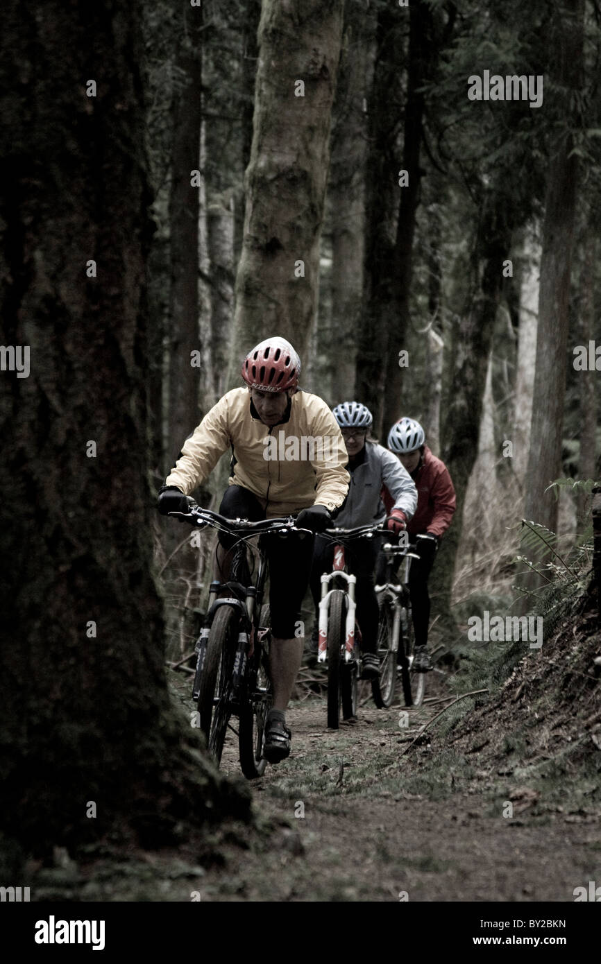 Two mountain bikers out riding a single track trail through the forest ...