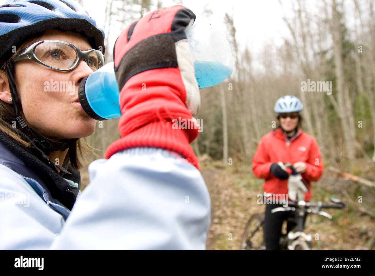 Two mountain bikers out riding a single track trail through the forest ...
