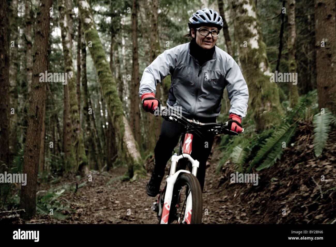 Two mountain bikers out riding a single track trail through the forest ...