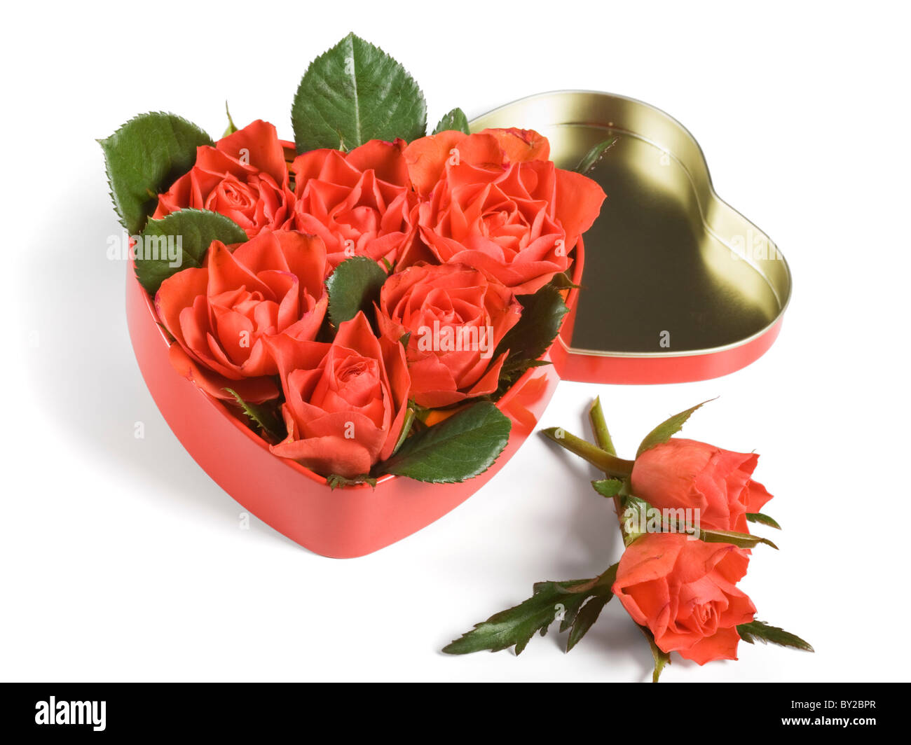 Full of roses Cut Out Stock Images & Pictures - Alamy