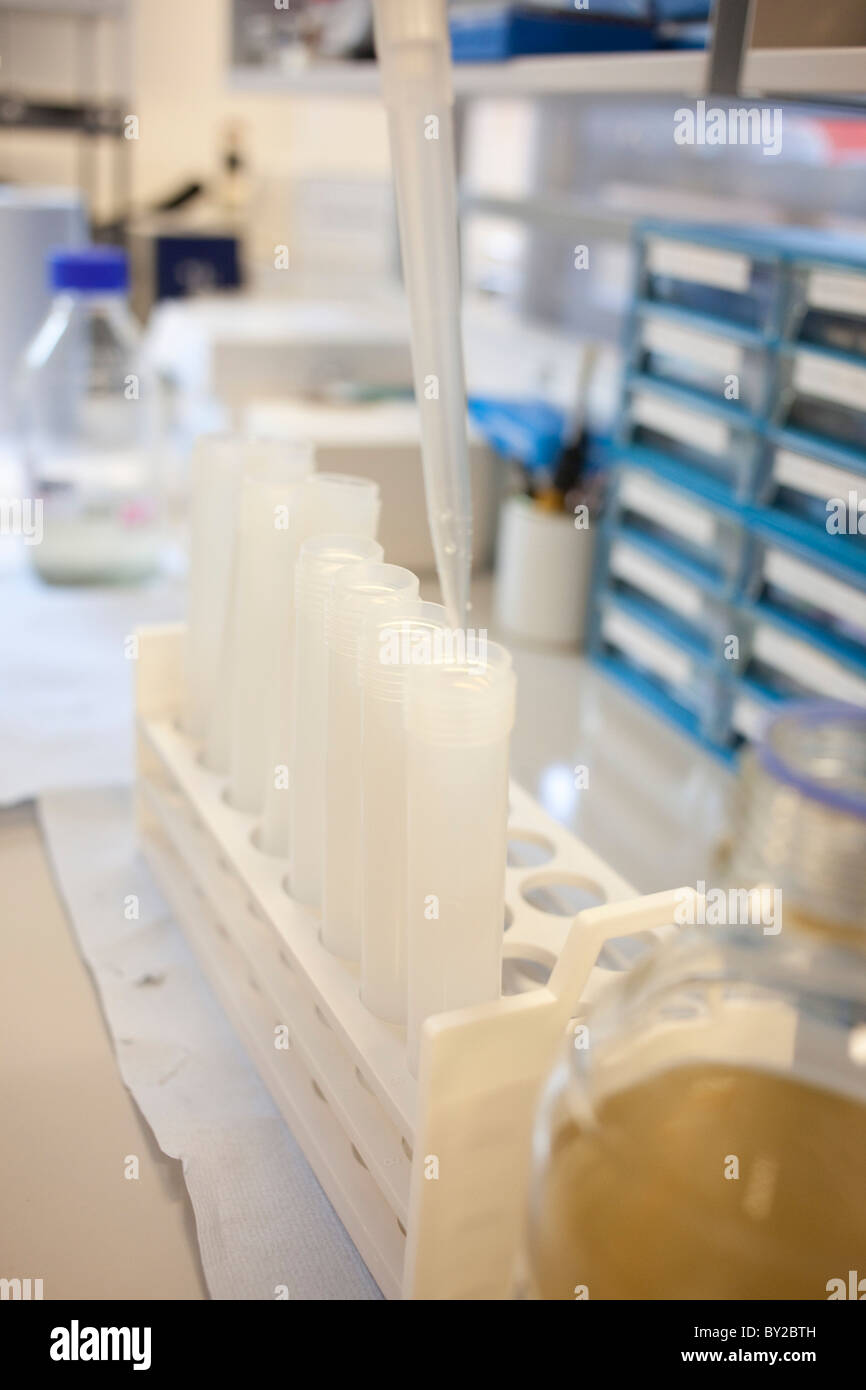 water samples from industrial waste water being sampled in a laboratory ...