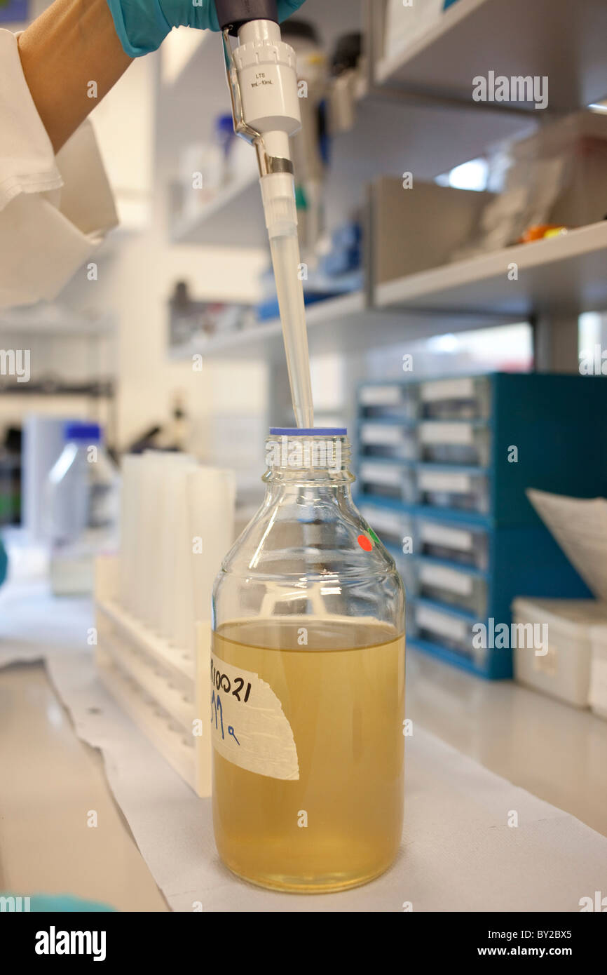 water samples from industrial waste water being sampled in a laboratory ...