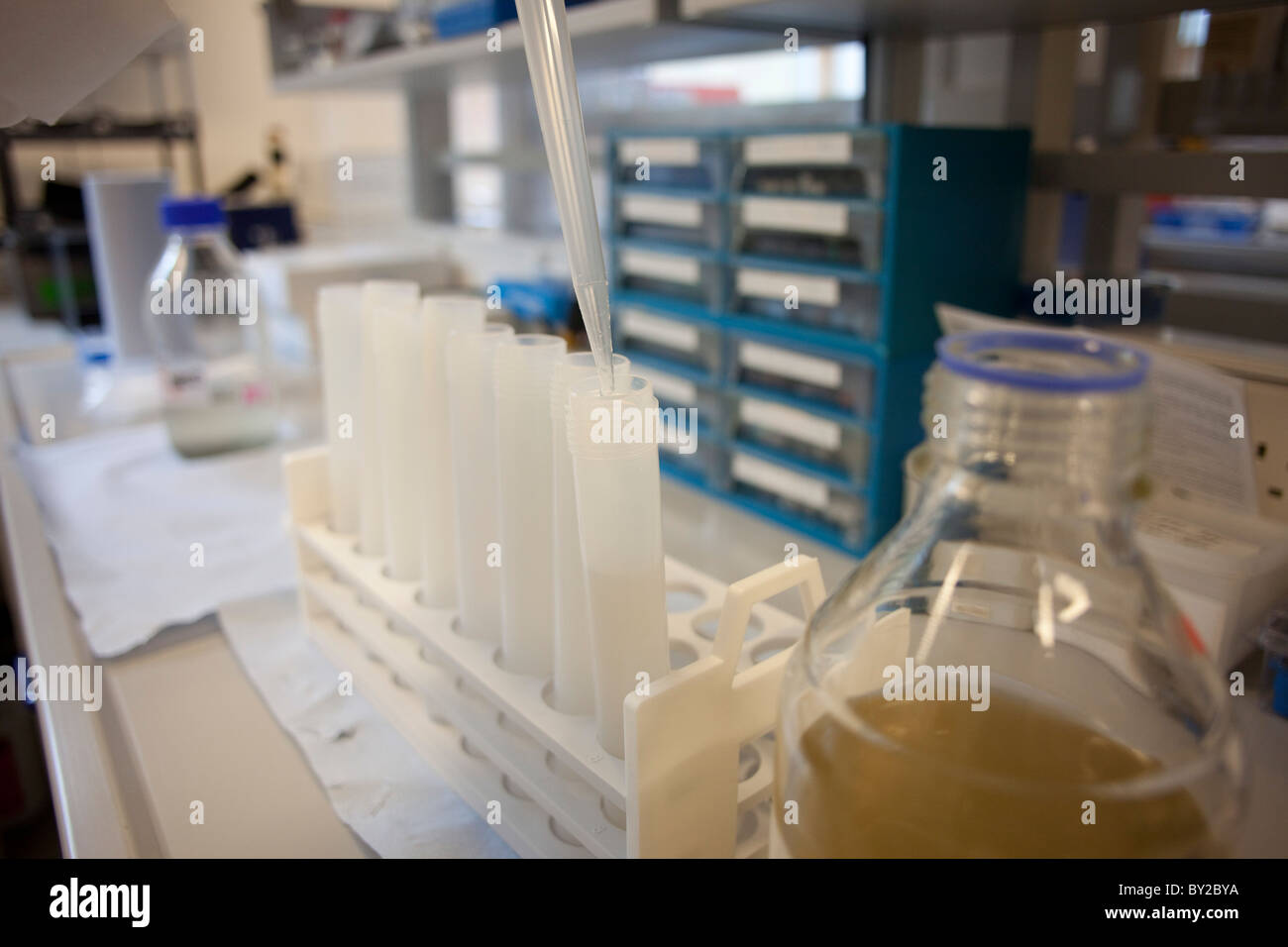 water samples from industrial waste water being sampled in a laboratory ...