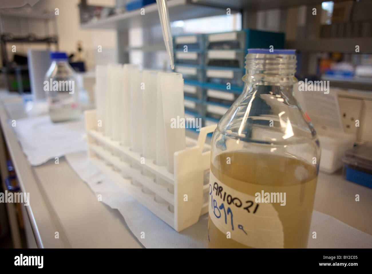 water samples from industrial waste water being sampled in a laboratory ...