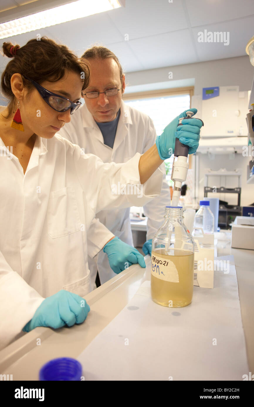 water samples from industrial waste water being sampled in a laboratory ...