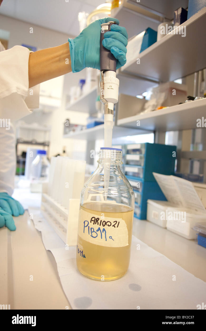water samples from industrial waste water being sampled in a laboratory ...
