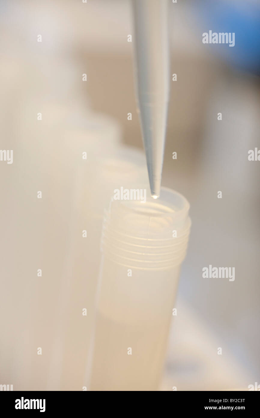 Scientists in University laboratory at Exeter Greenpeace Lab Stock ...