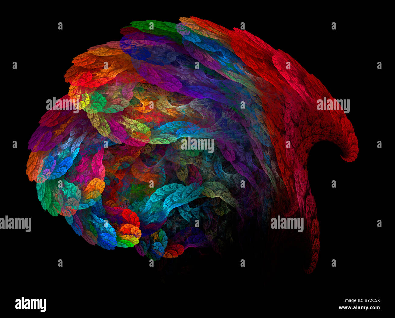 Fractal leaf patterns hi-res stock photography and images - Alamy