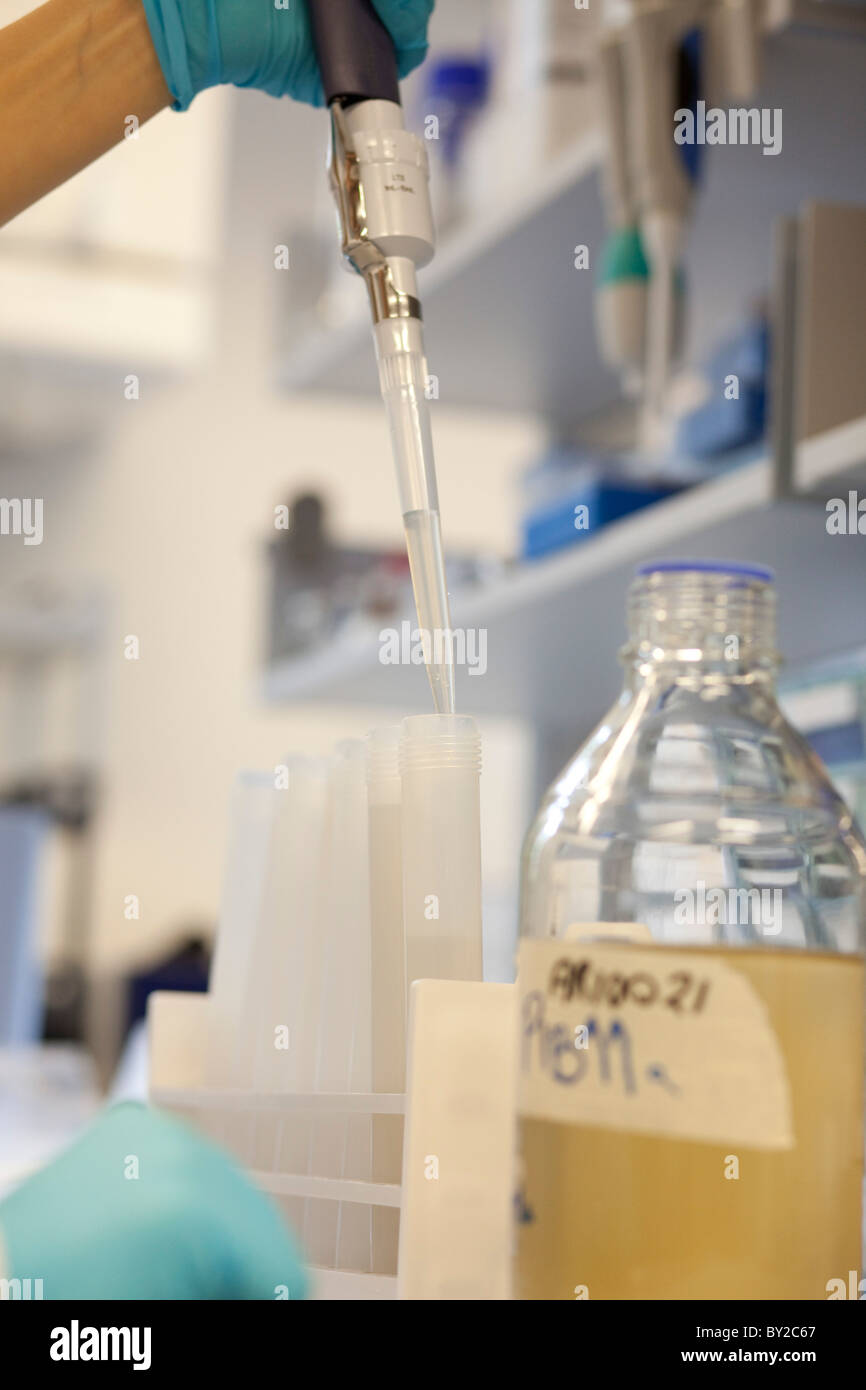 Lab benches hi-res stock photography and images - Alamy