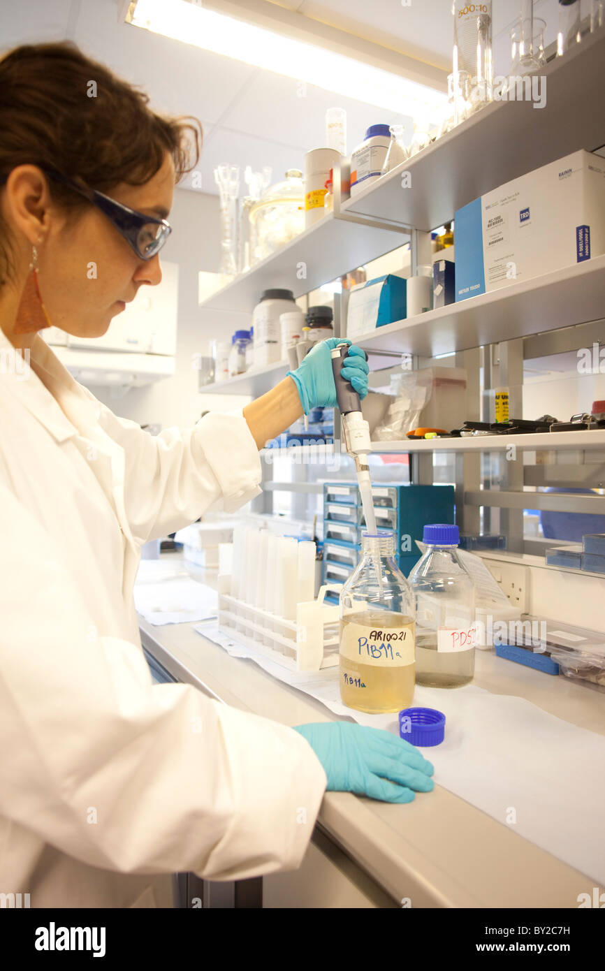 Scientists in University laboratory at Exeter Greenpeace Lab Stock ...