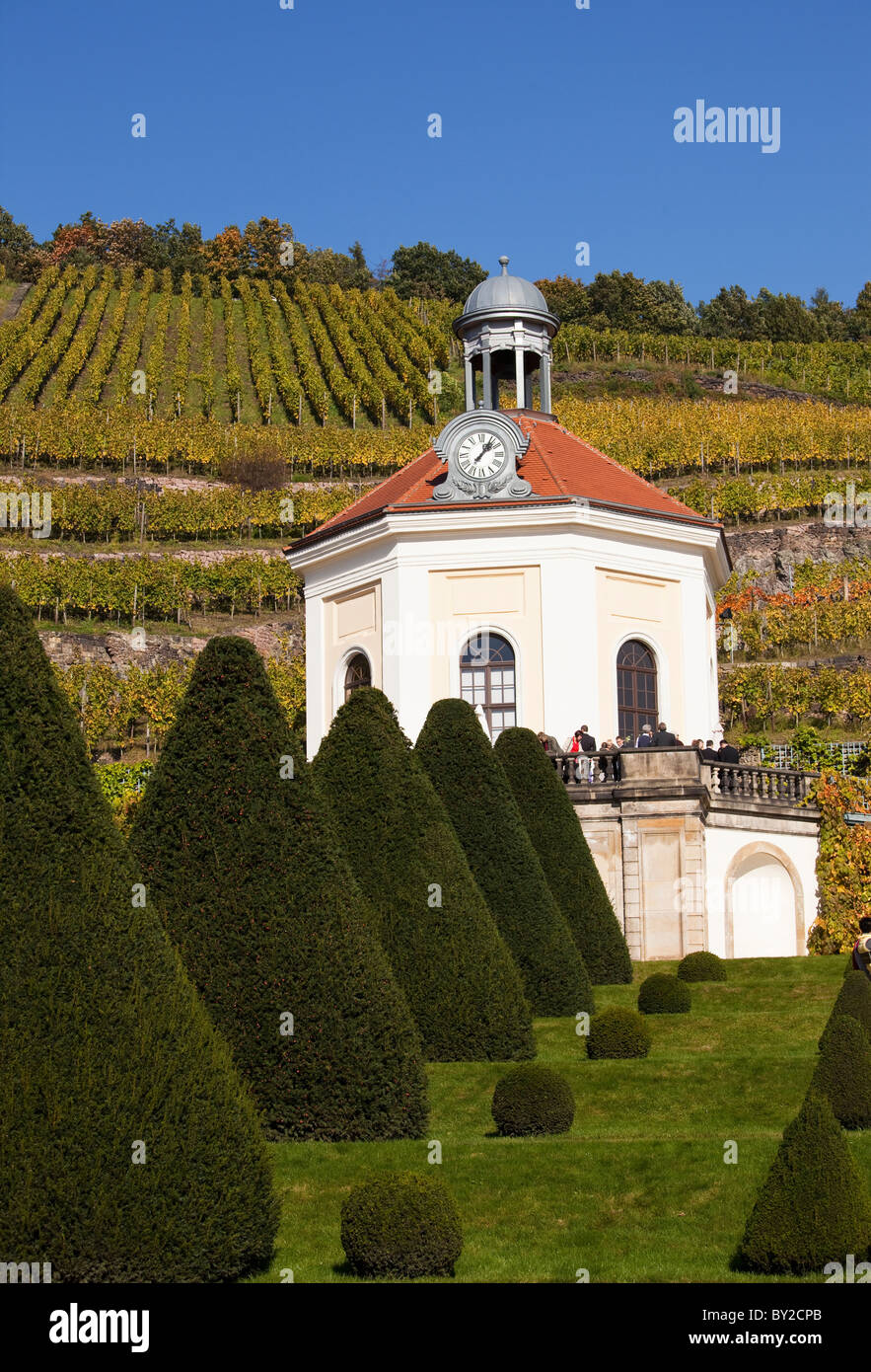 Germany,Saxony,Elbe Valley,Radebeul, Vineyard, Wackerbarth Castle ...