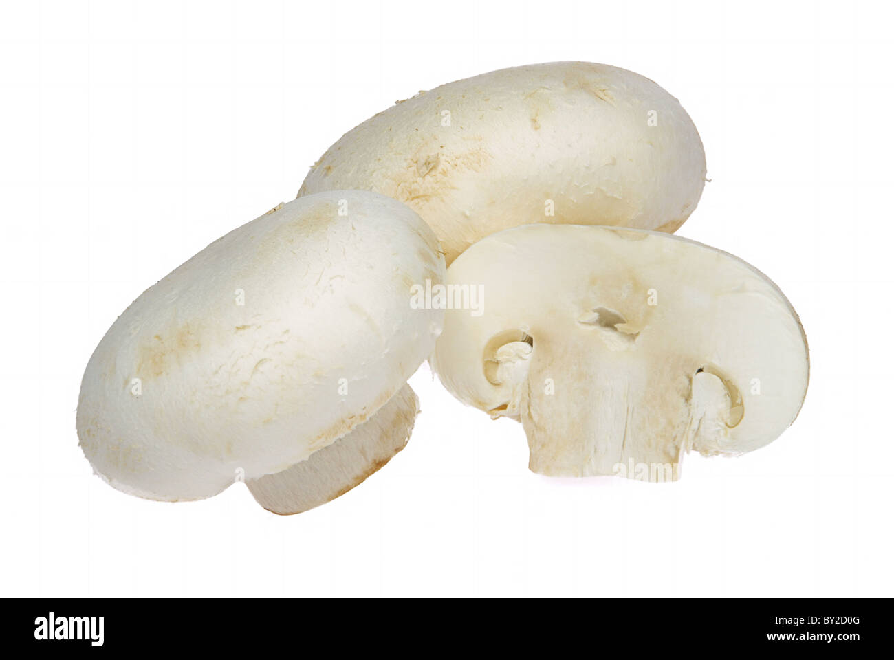 Champignon pilz hi-res stock photography and images - Alamy