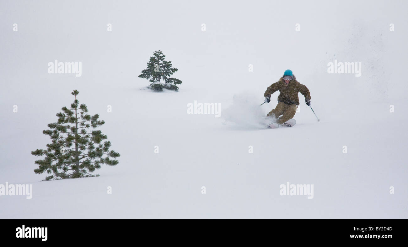 Female skier enjoying the fresh powder snow Stock Photo - Alamy