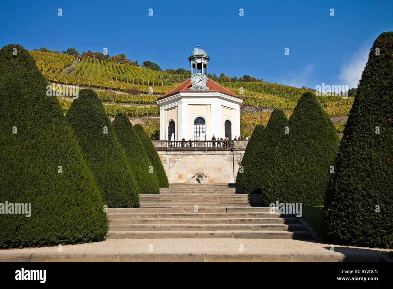 Germany,Saxony,Elbe Valley,Radebeul, Vineyard, Wackerbarth Castle ...