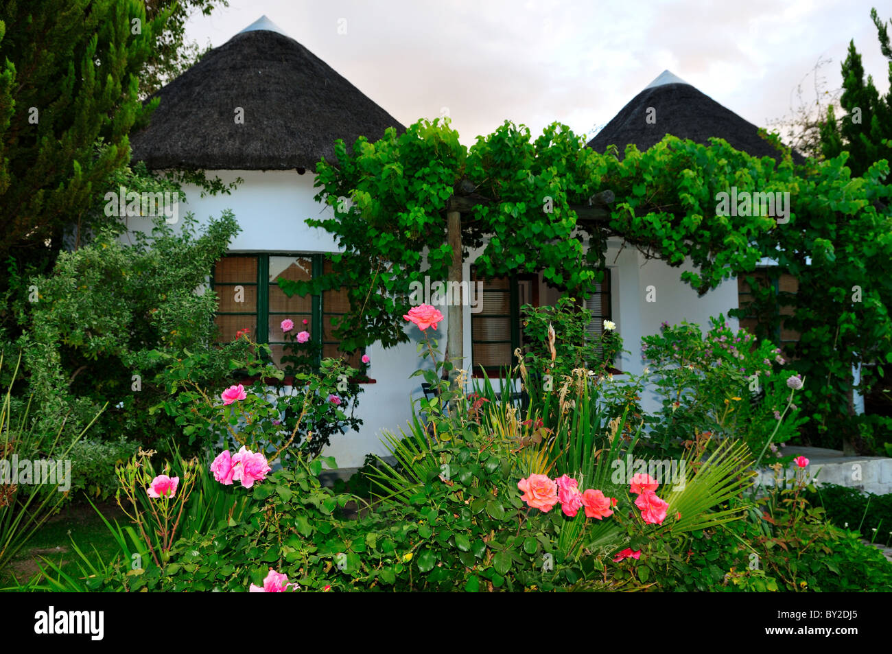Flower garden and African style guest rooms. Prince Albert, South ...
