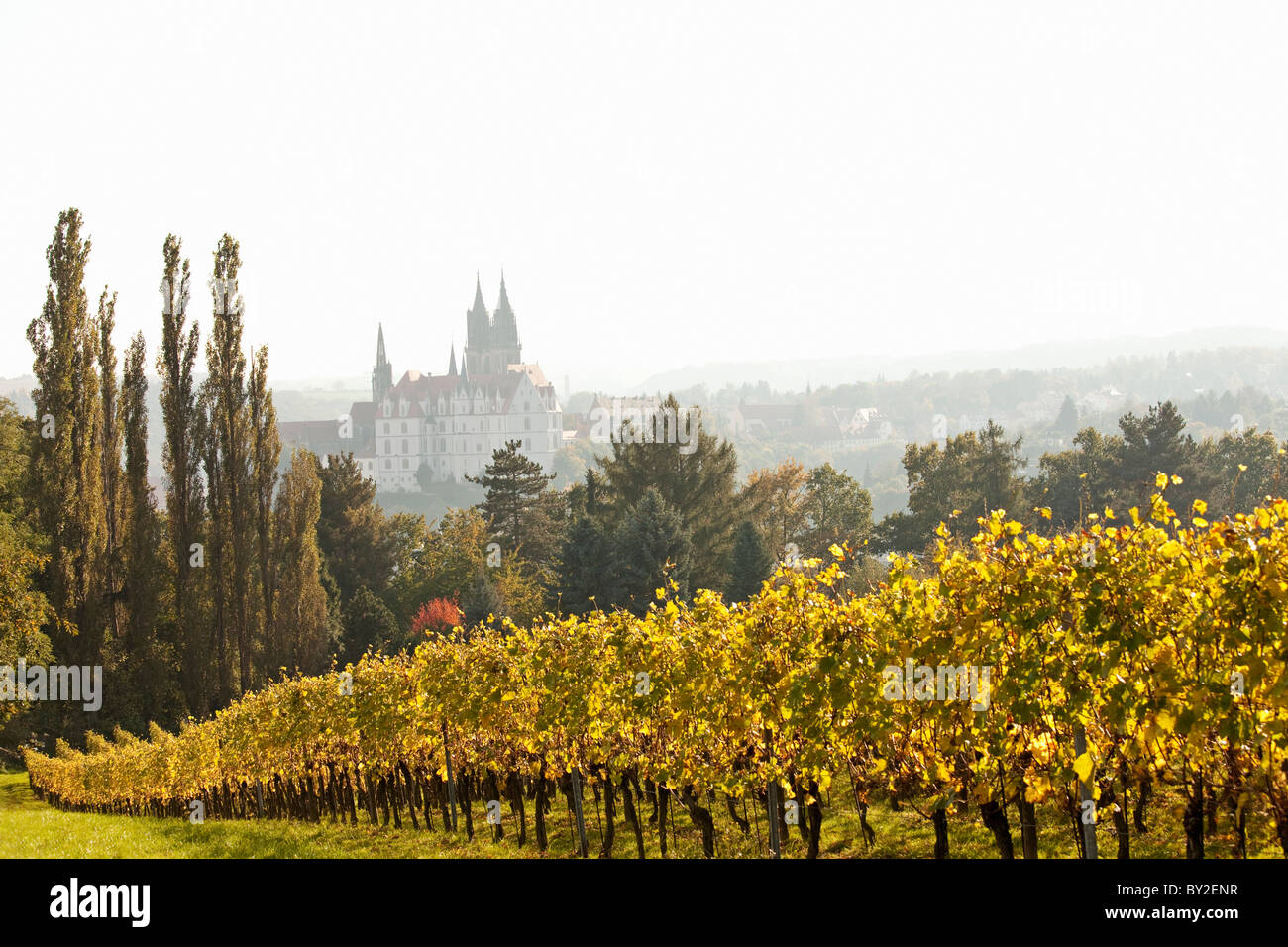 Prince of lippe vineyards hi-res stock photography and images - Alamy