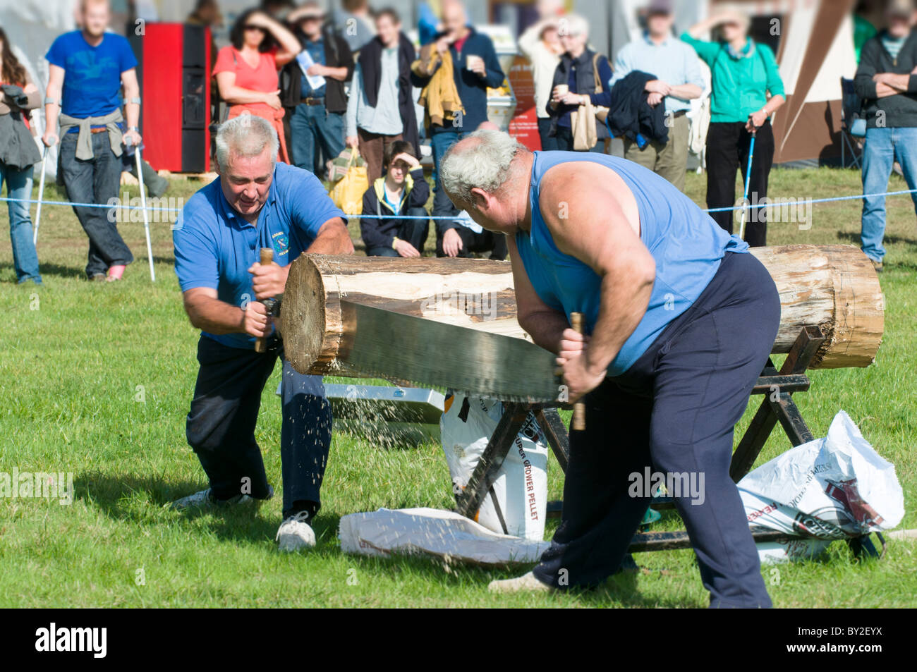 Two lumberjacks sawing through a tree trunk at a woodland country fair ...