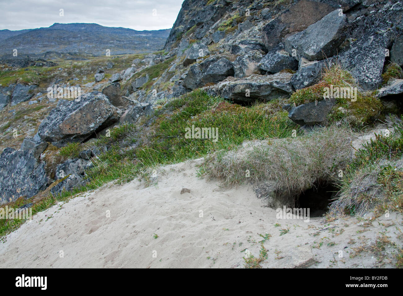 Fox den hi-res stock photography and images - Alamy