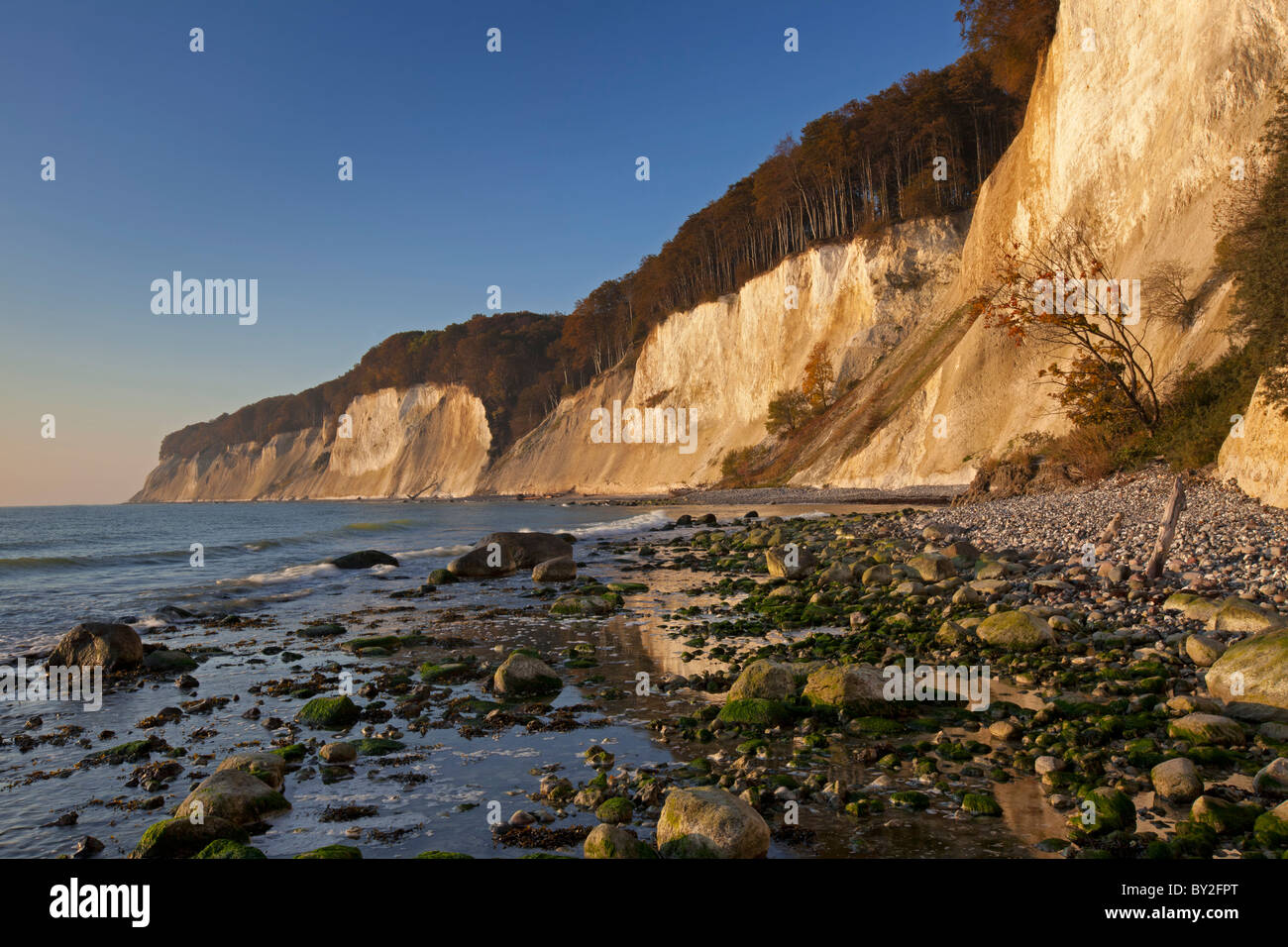 Chalk cliffs and beach in Jasmund National Park on Rugen / Rügen Island ...