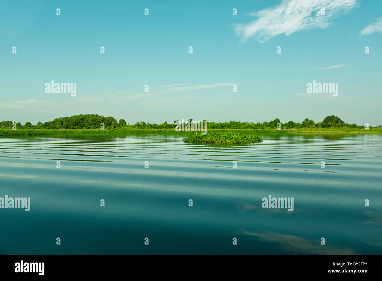 Beautiful morning in Florida Stock Photo - Alamy
