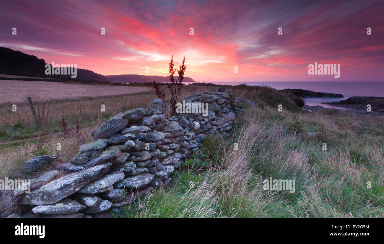 Stone wall, Devon Stock Photo - Alamy