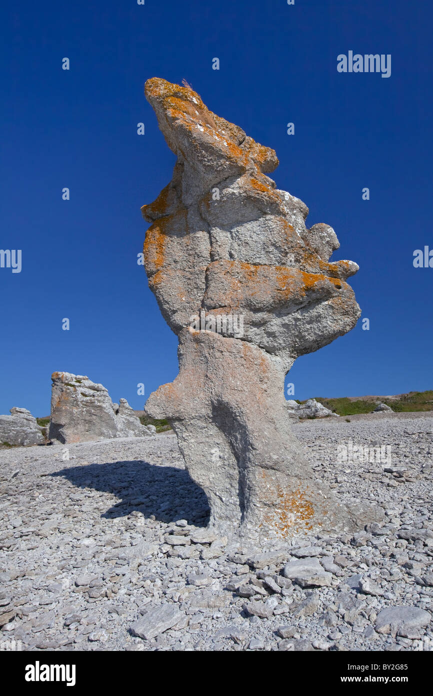 Limestone sea stacks / raukar at Langhammar, Gotland, Sweden Stock ...