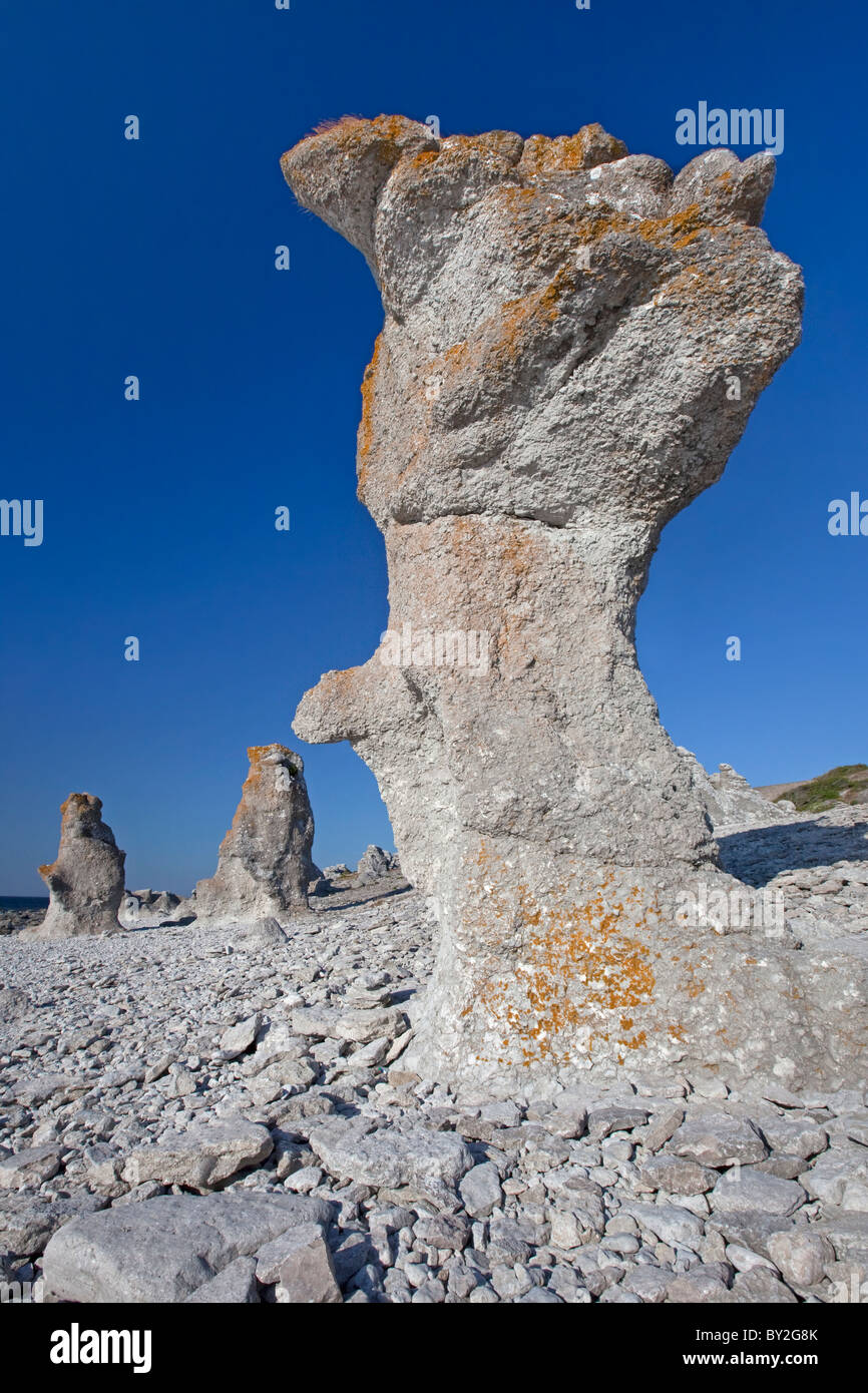 Limestone sea stacks / raukar at Langhammar, Gotland, Sweden Stock ...
