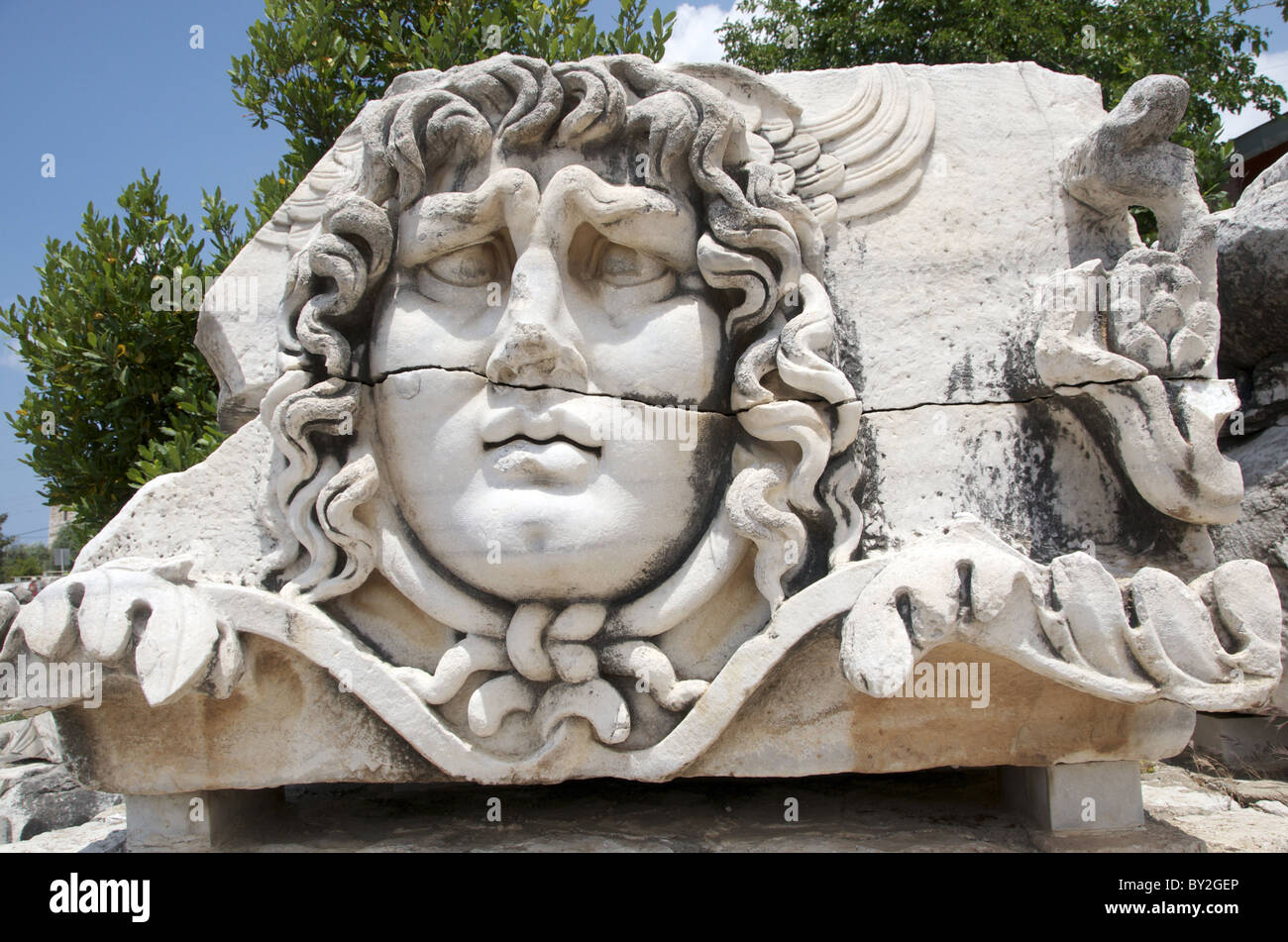 Didium High Resolution Stock Photography and Images - Alamy