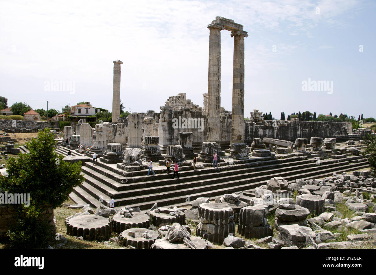 Didium High Resolution Stock Photography and Images - Alamy