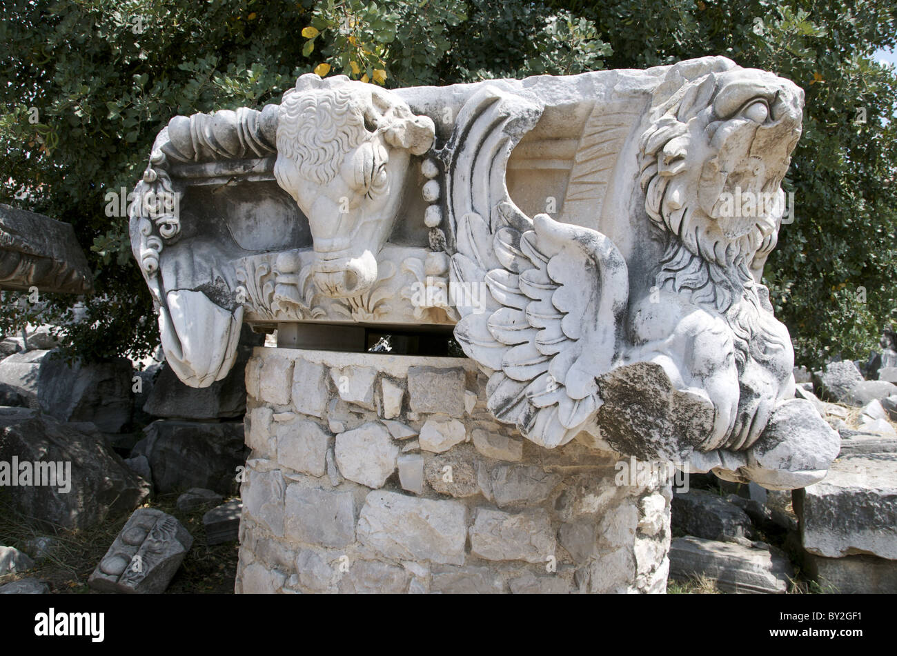 BULLS HEAD LION GRIFFINS DIDIUM TURKEY DIDIUM TURKEY DIDIUM TURKEY 22 ...