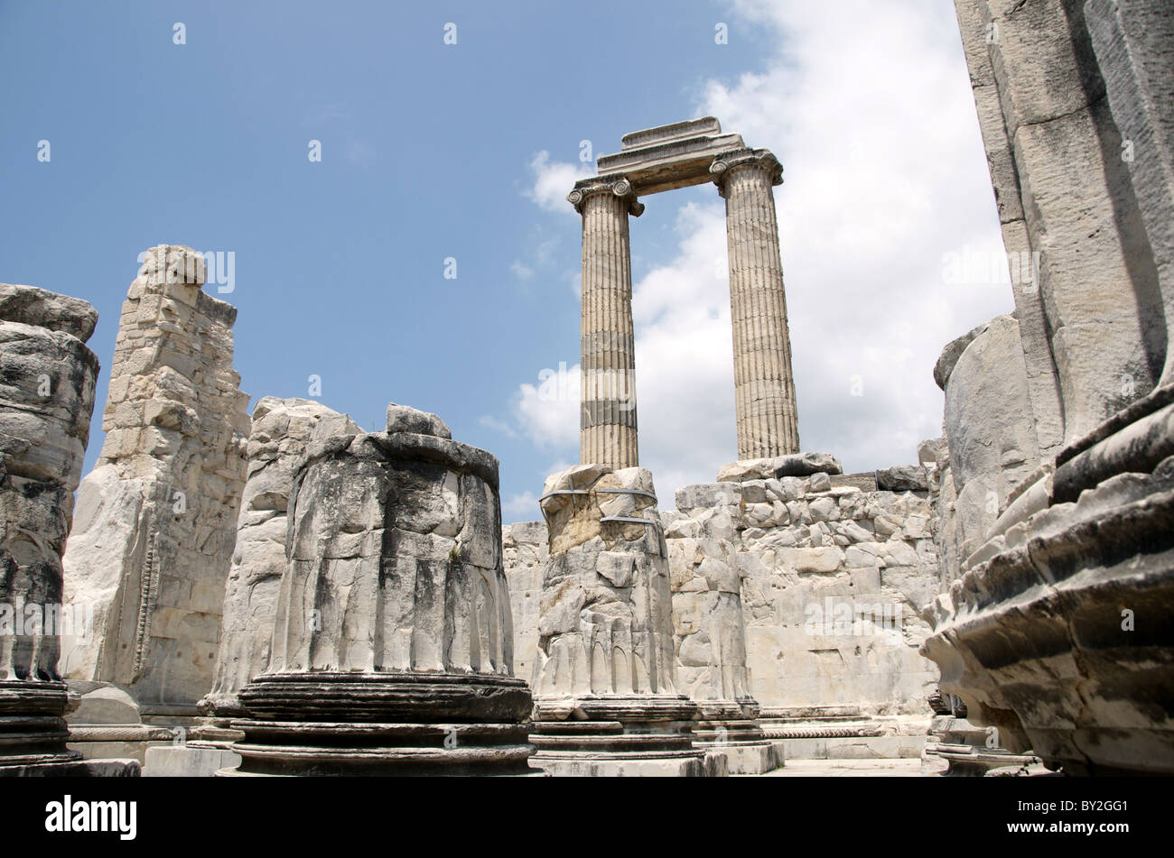 Didium High Resolution Stock Photography and Images - Alamy