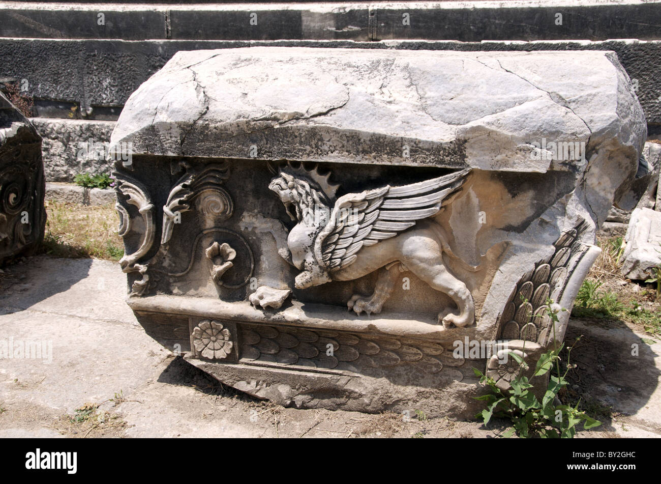 STONE CARVED LION GRIFFIN DIDIUM TURKEY DIDIUM TURKEY DIDIUM TURKEY 22 ...