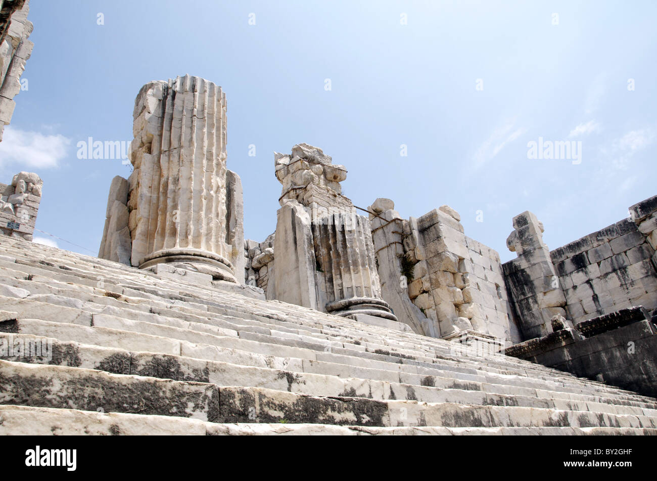 Didium High Resolution Stock Photography and Images - Alamy