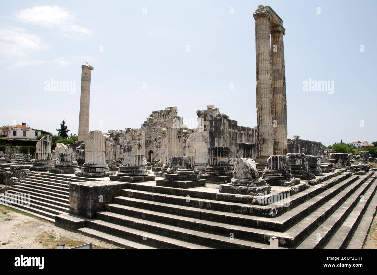 Didium High Resolution Stock Photography and Images - Alamy