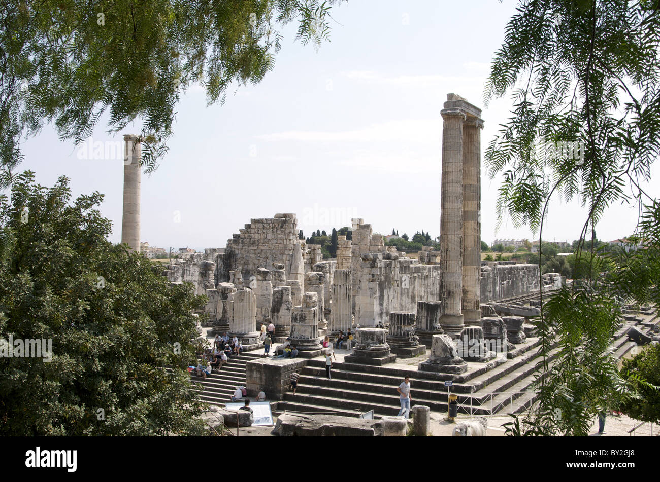 HISTORIC RUINS OF TEMPLE OF APOLLO DIDIUM TURKEY DIDIUM TURKEY DIDIUM ...