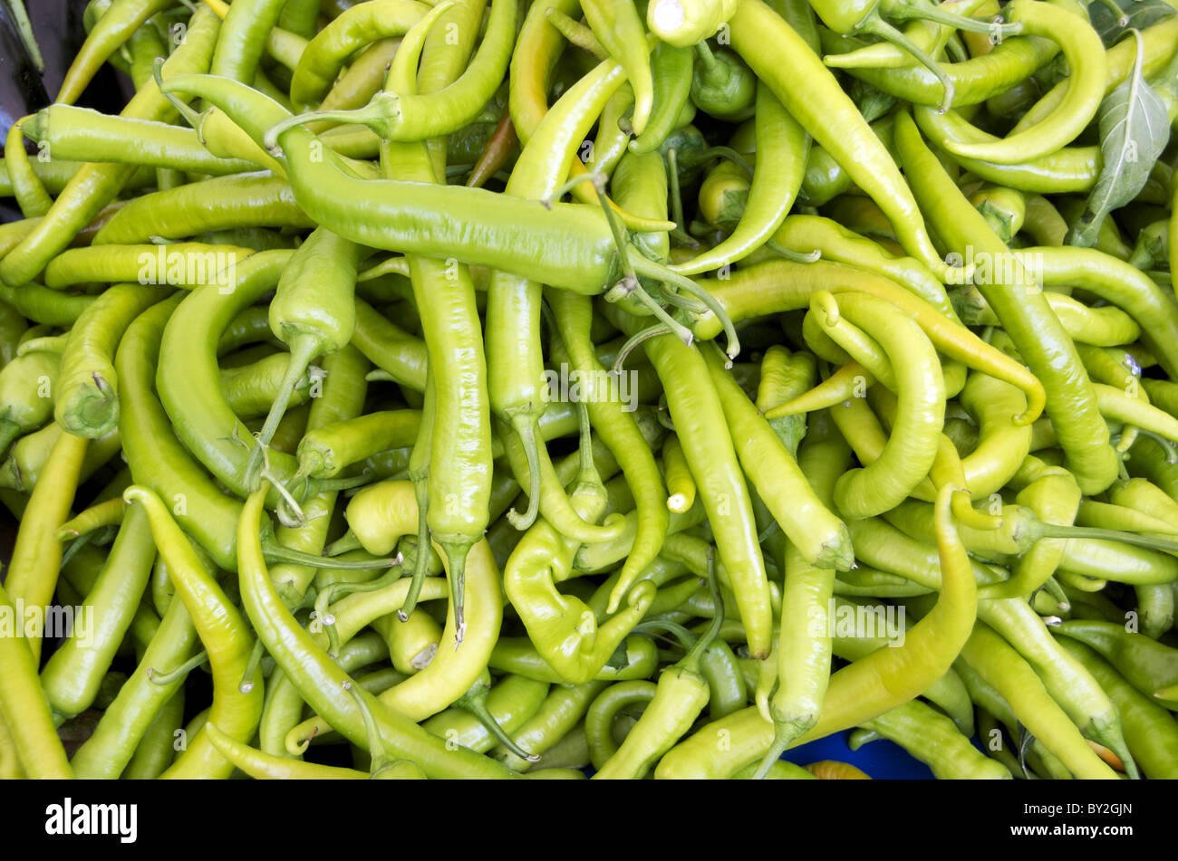 Green chilli hi-res stock photography and images - Alamy